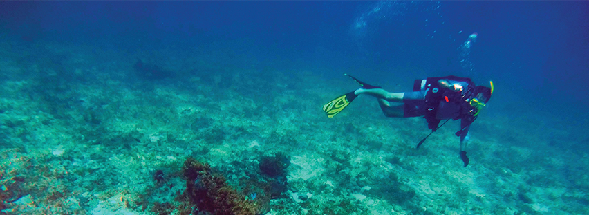 Home » Dallas Hotel Magazine